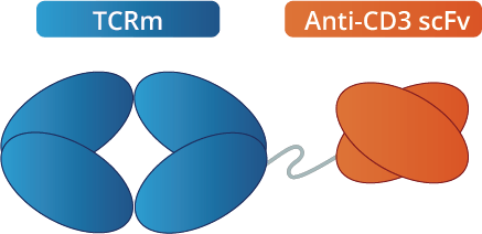 TCR Mimic Antibody - Nona Biosciences