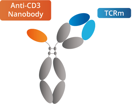 TCR Mimic Antibody - Nona Biosciences