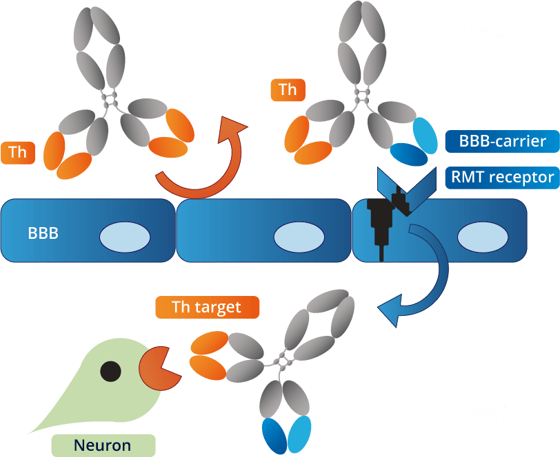 HBICE- Bi/Multi-specific - Nona Biosciences