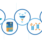 Idea to IND - Nona Biosciences